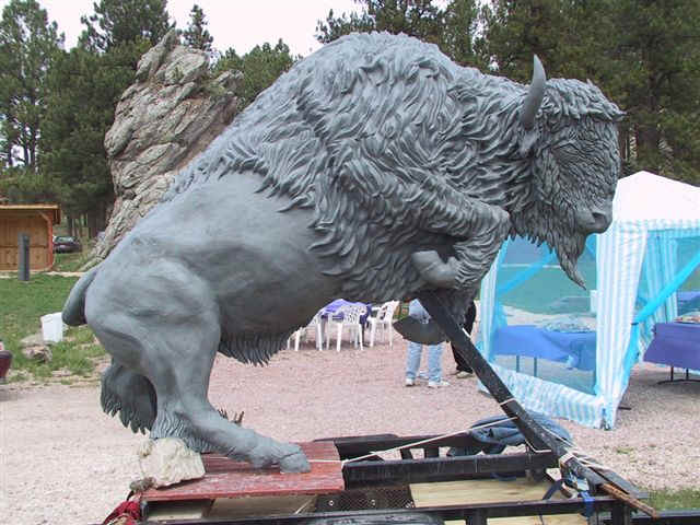 Custer Buffalo Stampede